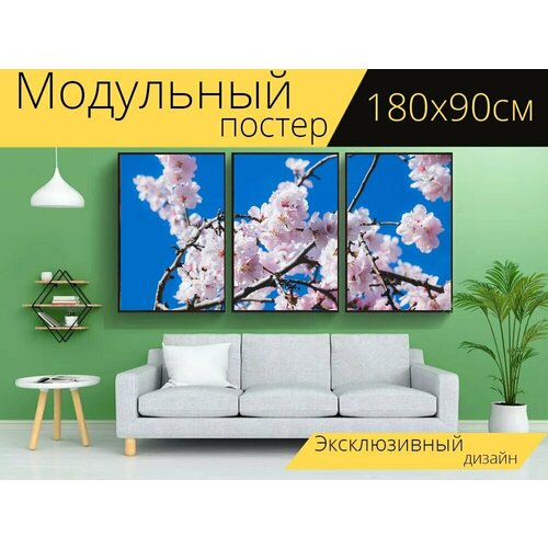 Модульный постер "Цветение вишни, цветы, дерево" 180 x 90 см. для интерьера