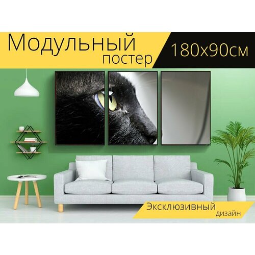 Модульный постер "Черный кот, домашний питомец, животное" 180 x 90 см. для интерьера