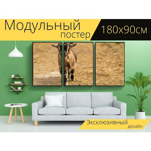 Модульный постер "Животное, козел, козлята" 180 x 90 см. для интерьера