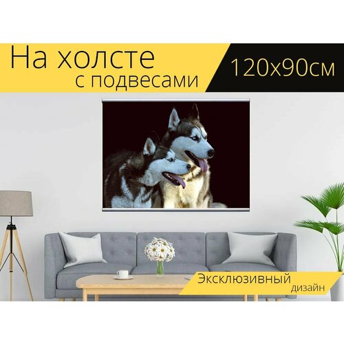 Картина на холсте "Собаки, хаски, пара" с подвесами 120х90 см. для интерьера