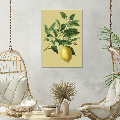 Картина/Картина на холсте/Картина на холсте для интерьера/ Картина на стену/ Картина в подарок для дома/ - Лимон ботаническая иллюстрация 60х80