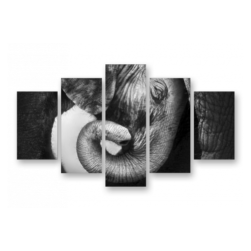 Модульная картина на холсте | Diva Kartina | Природа. Животные. Маленький слоненок | 90X54 см