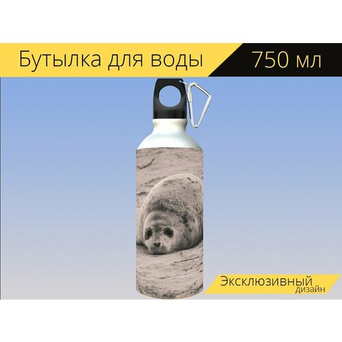 Бутылка фляга для воды "Тюлень, серый тюлень, гельголанд" 750 мл. с карабином и принтом