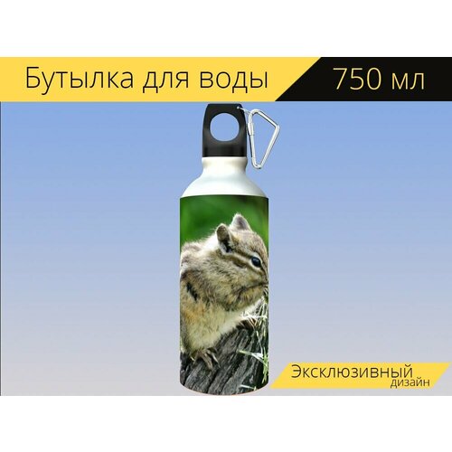 Бутылка фляга для воды "Грызун, бурундук, крошечный" 750 мл. с карабином и принтом