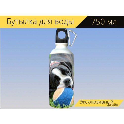Бутылка фляга для воды "Собака, боксер, чернобелый" 750 мл. с карабином и принтом