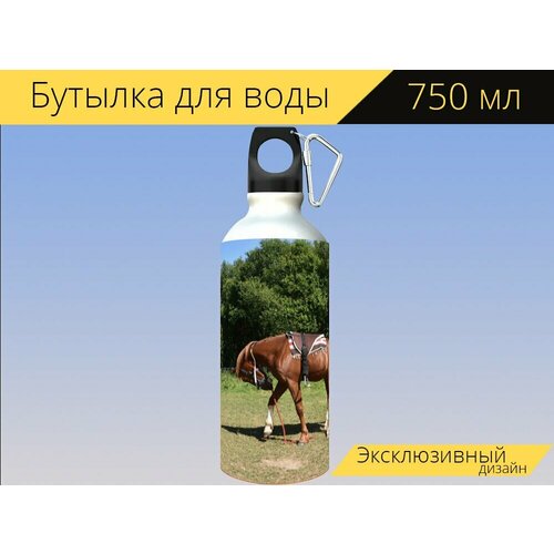 Бутылка фляга для воды "Лошадь, лошадь рысак, лошадь ковер монтировать сырой" 750 мл. с карабином и принтом