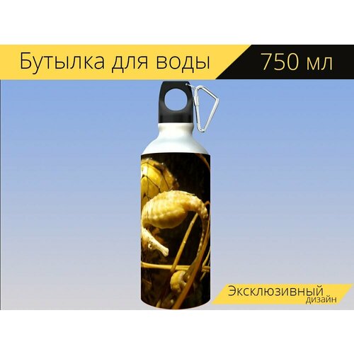 Бутылка фляга для воды "Морской конек, океанариум, жёлтый" 750 мл. с карабином и принтом