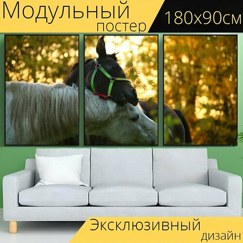 Модульный постер "Падение, лошадь, плесень" 180 x 90 см. для интерьера