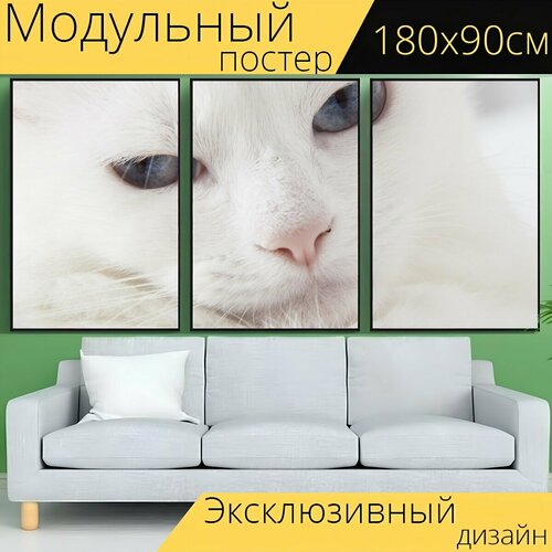 Модульный постер "Кот, талисман, животные" 180 x 90 см. для интерьера