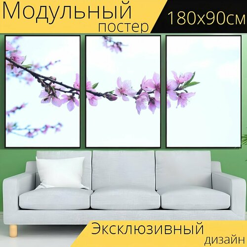 Модульный постер "Цветение персика, представления, весна" 180 x 90 см. для интерьера