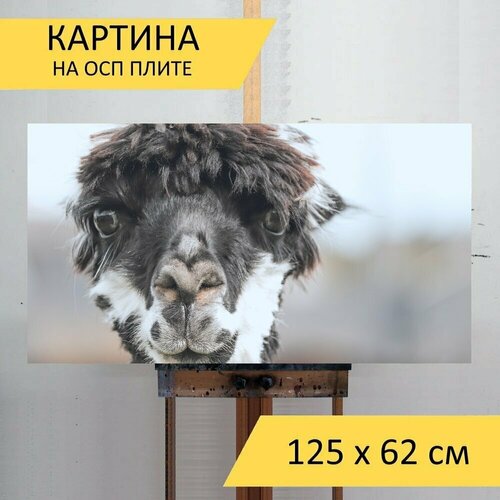 Картина на ОСП 125х62 см. "Альпака, лама, верблюд" горизонтальная, для интерьера, с креплениями