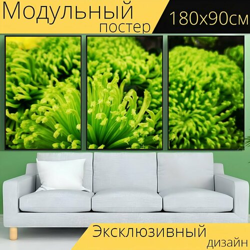 Модульный постер "Зеленый, завод, цветок" 180 x 90 см. для интерьера