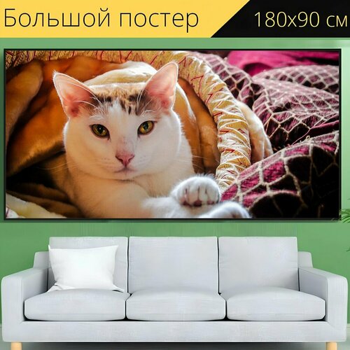 Большой постер "Кошка, мурлыкать, котенок" 180 x 90 см. для интерьера