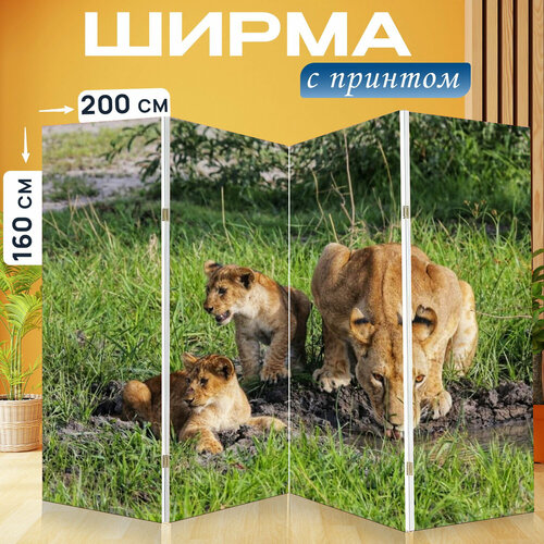 Ширма перегородка с принтом "Дикая природа, львица, детеныши" на холсте - 200x160 см. для зонирования, раскладная