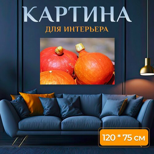 Картина на холсте "Тыква, хоккайдо тыква, фрукты" на подрамнике 120х75 см. для интерьера
