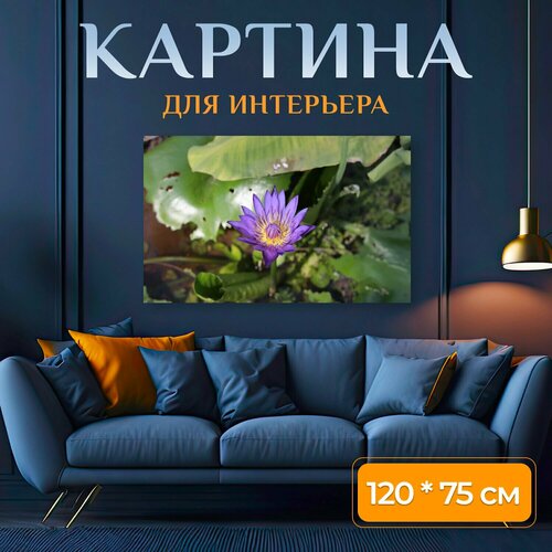 Картина на холсте "Цветок, фиолетовый цветок, блум" на подрамнике 120х75 см. для интерьера