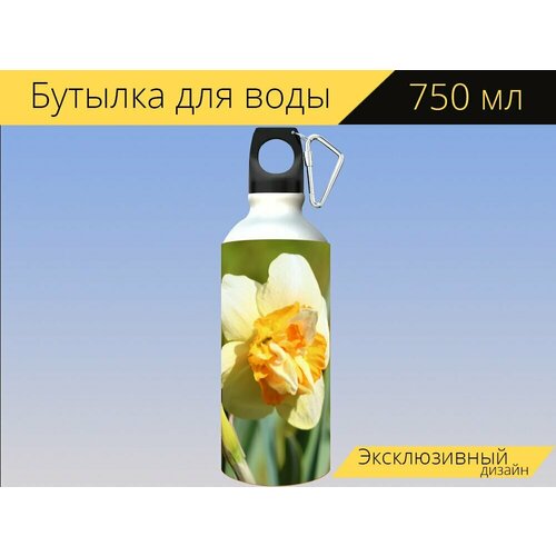 Бутылка фляга для воды "Нарцисс, цветок, бутон" 750 мл. с карабином и принтом