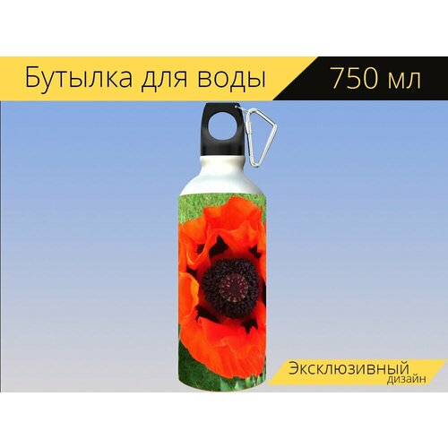 Бутылка фляга для воды "Гигантский мак, английский мак, красный мак" 750 мл. с карабином и принтом