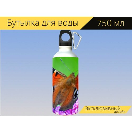 Бутылка фляга для воды "Бабочка, бабочки, летом" 750 мл. с карабином и принтом