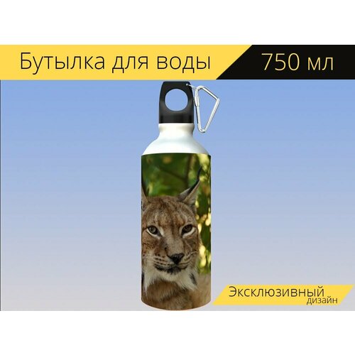 Бутылка фляга для воды "Рысь, животное, большой кот" 750 мл. с карабином и принтом