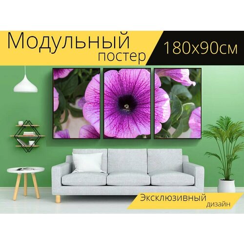 Модульный постер "Петуния, цвести, фиолетовый" 180 x 90 см. для интерьера
