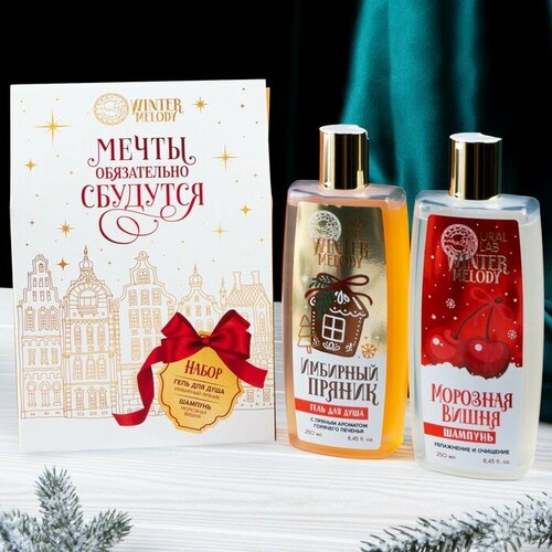 Winter Melody, Подарочный новогодний набор Мечты сбудутся, гель для душа, 250 мл шампунь для волос, 250 мл