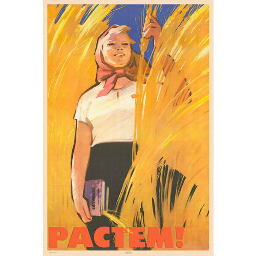 Плакат, постер на бумаге СССР/ Растем. Размер 60х84 см