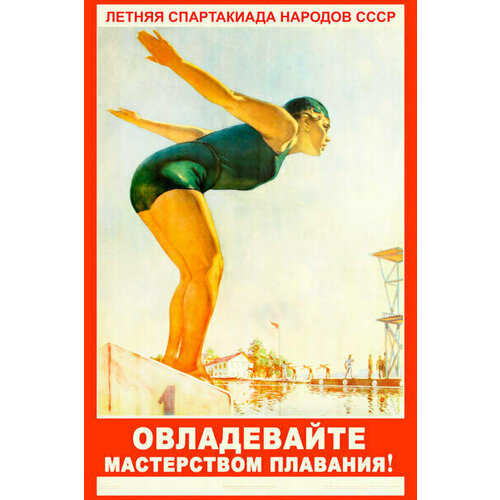 Плакат, постер на холсте СССР/ Овладевайте мастерством плавания. Размер 30 на 42 см