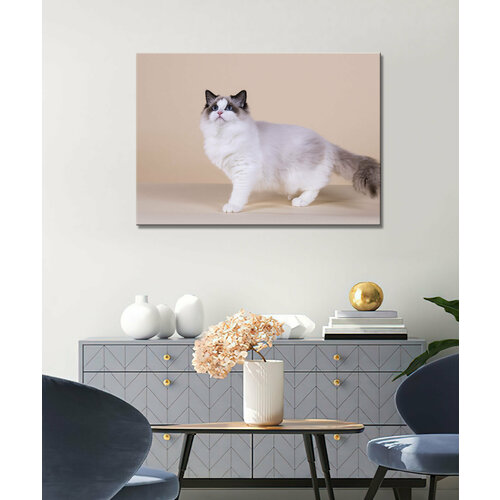 Картина - кошка, рэгдолл, домашняя кошка, ласковая кошка, кот (255) 60х80