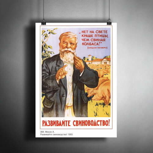 Постер плакат для интерьера "Советский плакат: Развивайте свиноводство!"/ A3 (297 x 420 мм)