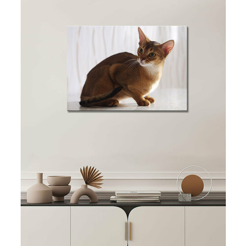 Картина - кошка, абиссинская кошка, древняя кошка, домашняя кошка, ласковая кошка, кот (166) 20х30