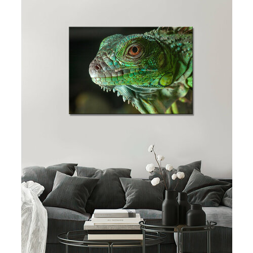 Картина -Игуана, зеленая игуана, ящерица (1) 50х70
