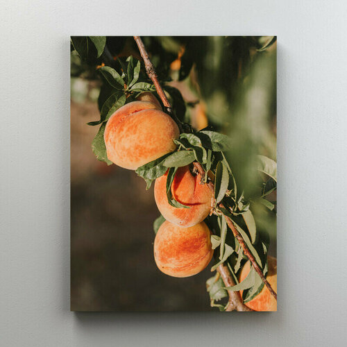 Интерьерная картина на холсте "Природа - персиковое дерево" размер 30x40 см