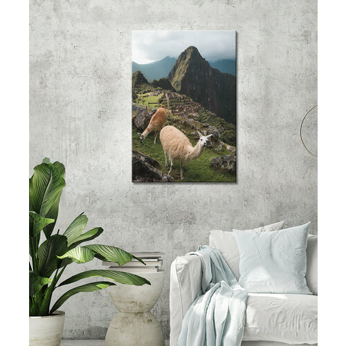 Картина/Картина на холсте для интерьера/Картина на стену/Картина для кухни/ - Перу Мачу Пикчу ламы 30х40
