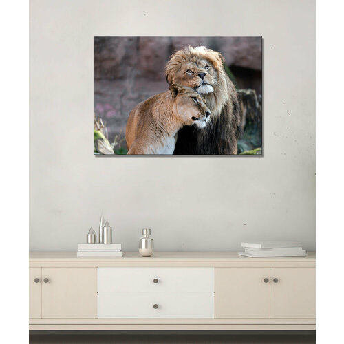 Картина - Лев, лев царь зверей, лев и львица, пара львов, львы любовь (25) 40х60