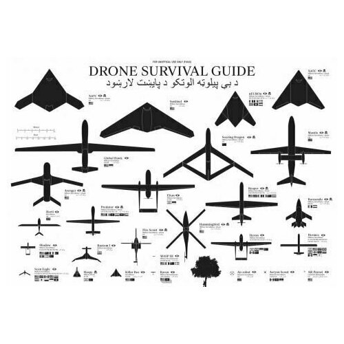 Плакат, постер на бумаге Drone Survival Guide-Руководство по защите от дронов. Размер 21 х 30 см