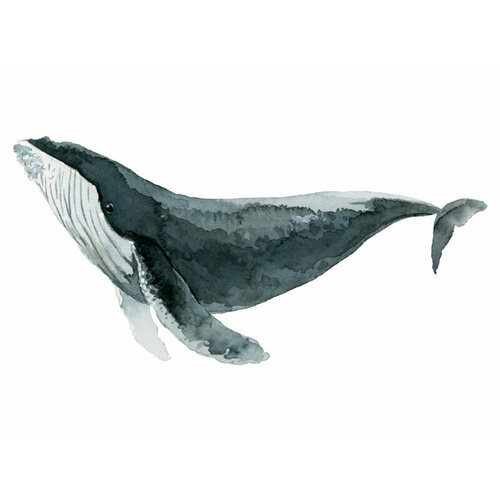 Плакат, постер на бумаге Акварельный кит. Размер 21 х 30 см