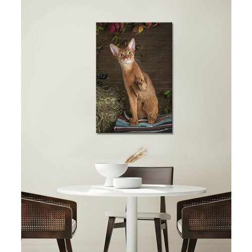 Картина - кошка, абиссинская кошка, древняя кошка, домашняя кошка, ласковая кошка, кот (189) 20х30