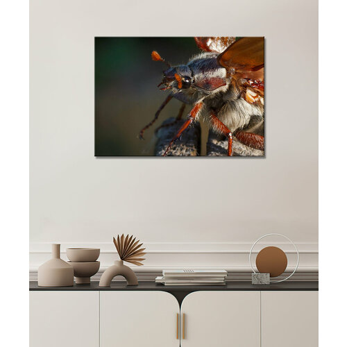 Картина - майский жук, жук, весна, крупный жук, природа, макро (4) 50х70