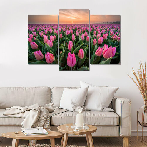 Модульная картина/Модульная картина на холсте в подарок/ Поле с розовыми тюльпанами на закате - Field with pink tulips at sunset 120х80