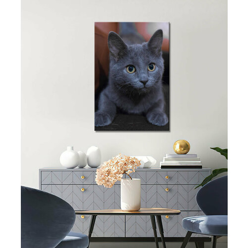 Картина - кошка, русская голубая кошка, домашняя кошка, ласковая кошка, короткошерстная кошка, кот (76) 60х80