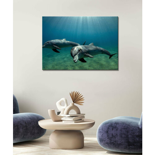 Картина - дельфин, экзотический дельфин, живая природа, дельфин в море (30) 30х40