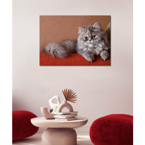 Картина - кошка, персидская кошка, домашняя кошка, ласковая кошка, кот (294) 60х80