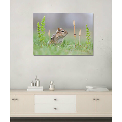 Картина - Бурундук, бурундучок, полосатый бурундук в траве (18) 50х70