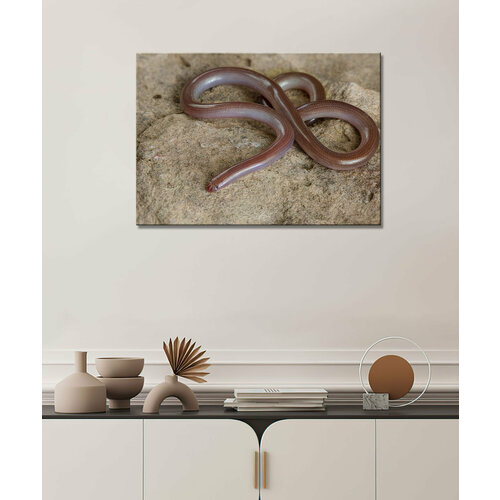Картина - змея, обыкновенная слепозмейка, маленькая змея, земляная змея (62) 50х70