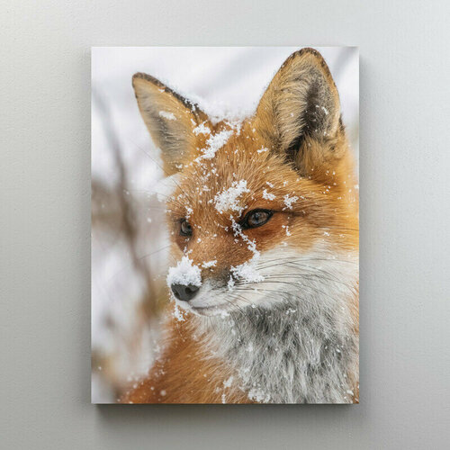 Интерьерная картина на холсте "Рыжая лиса охотится зимой" размер 22x30 см