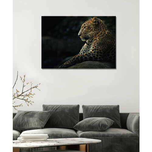 Картина/Ягур/Ягуар в джунглях/Ягуар на дереве/Черный ягуар/ - Ягуар (26) 50х70