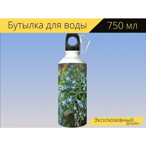 Бутылка фляга для воды "Зеленый куст, куст, зеленый" 750 мл. с карабином и принтом