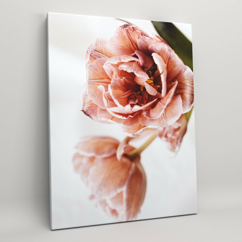 Картина на холсте (интерьерный постер) "Пыльная роза" цветы и растения, с деревянным подрамником, размер 45x60 см