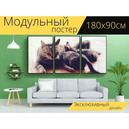 Модульный постер "Кот, котенок, кошка ребенок" 180 x 90 см. для интерьера